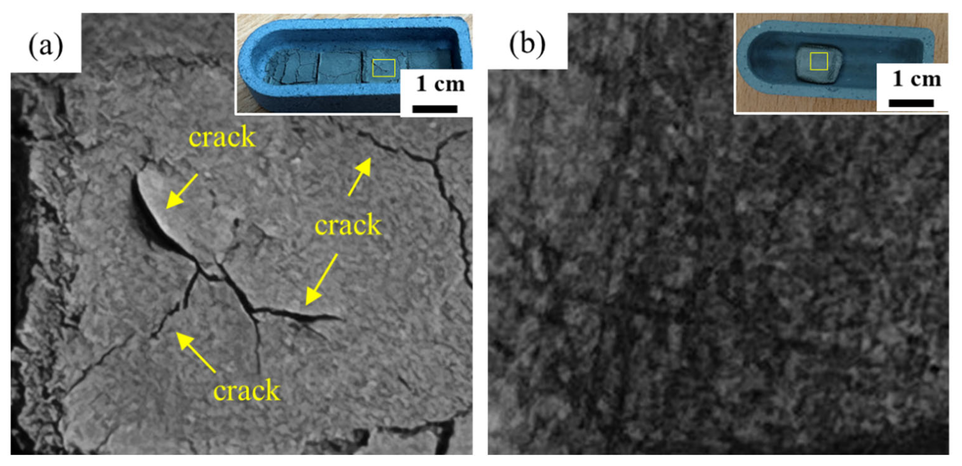 Role of Heat Treatment Atmosphere on the Microstructure and Surface ...