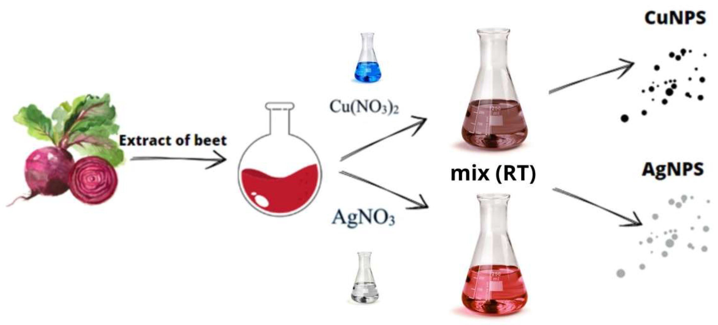 Antimicrobial Properties of Polymer-Based Nanocomposites Modified by ...