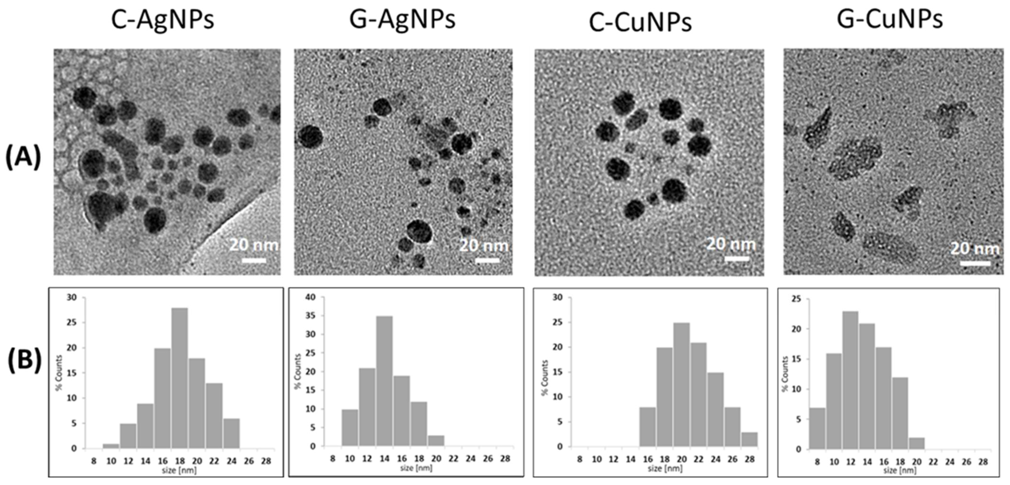 Antimicrobial Properties of Polymer-Based Nanocomposites Modified by ...