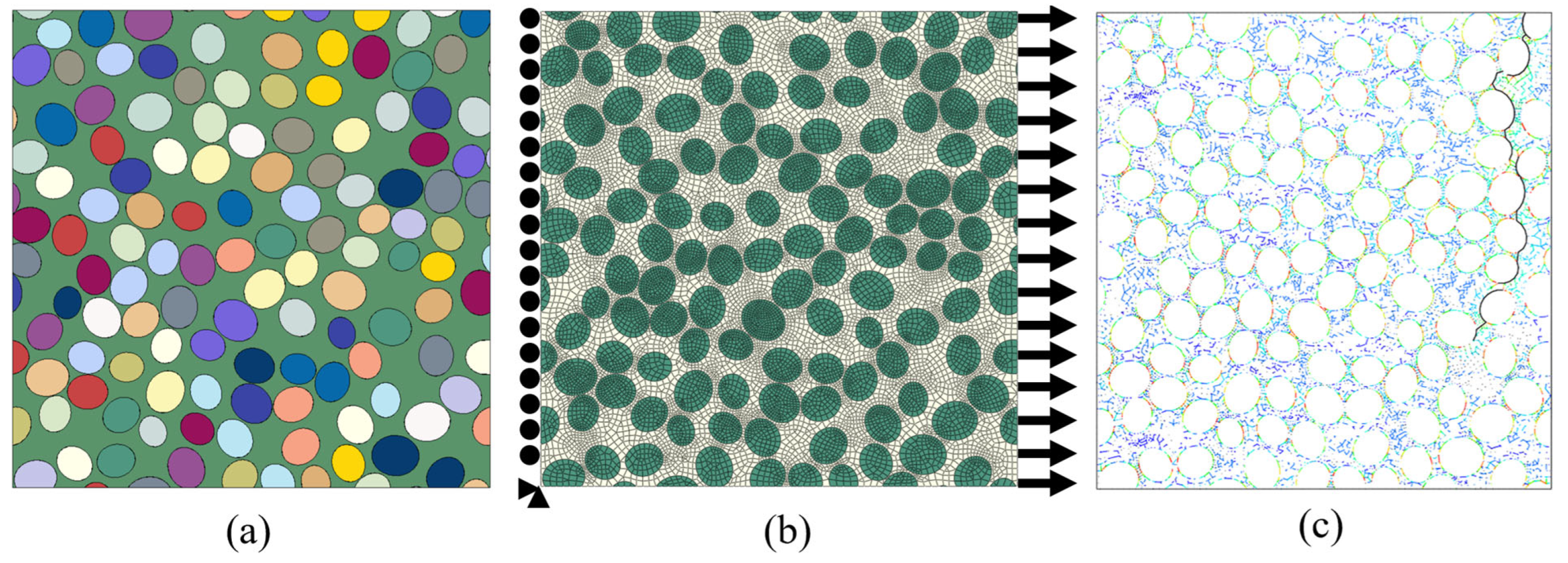 Influence of Elliptical Fiber Cross-Section Geometry on the Transverse ...