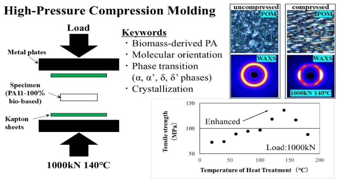 Molecular Orientation and Mechanical Properties of Biomass-Derived ...
