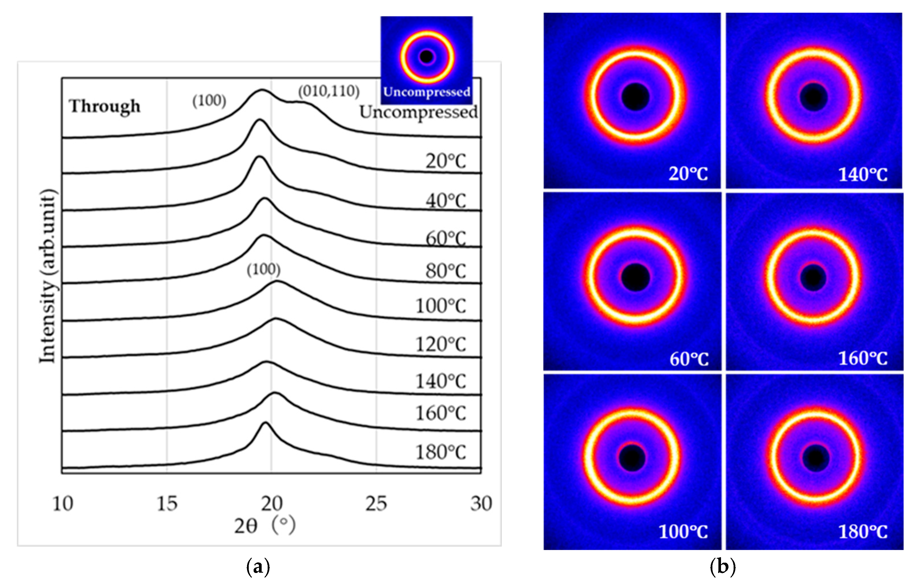 Molecular Orientation and Mechanical Properties of Biomass-Derived ...