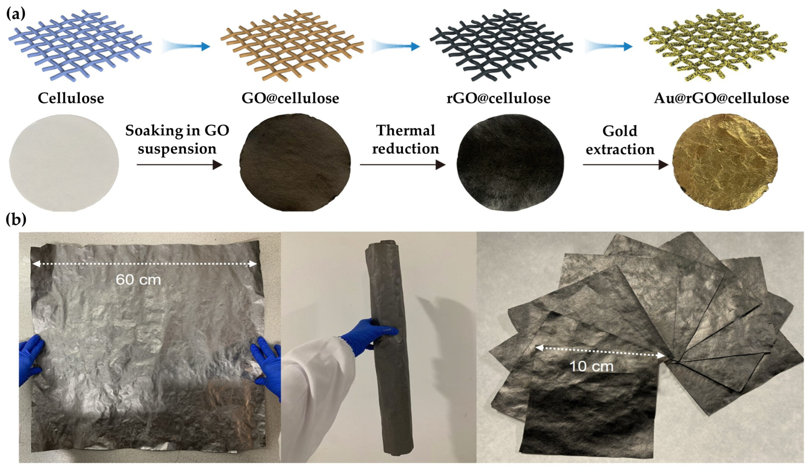 Selective Gold Recovery from Waste Electronics: A Speciation-Based ...