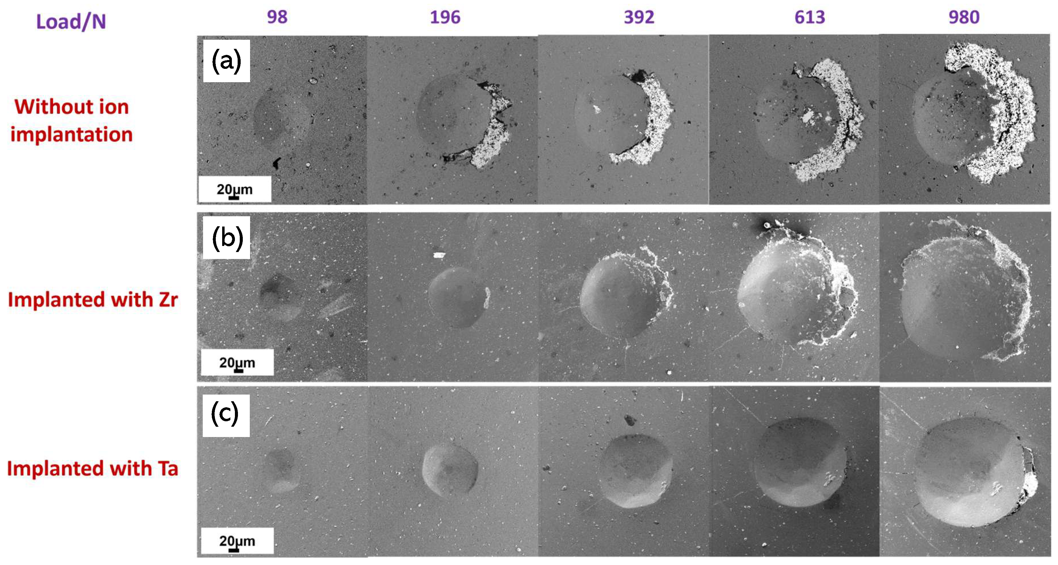 Assessment of the Mechanical Performance of AlCrSiN Coating Implanted ...
