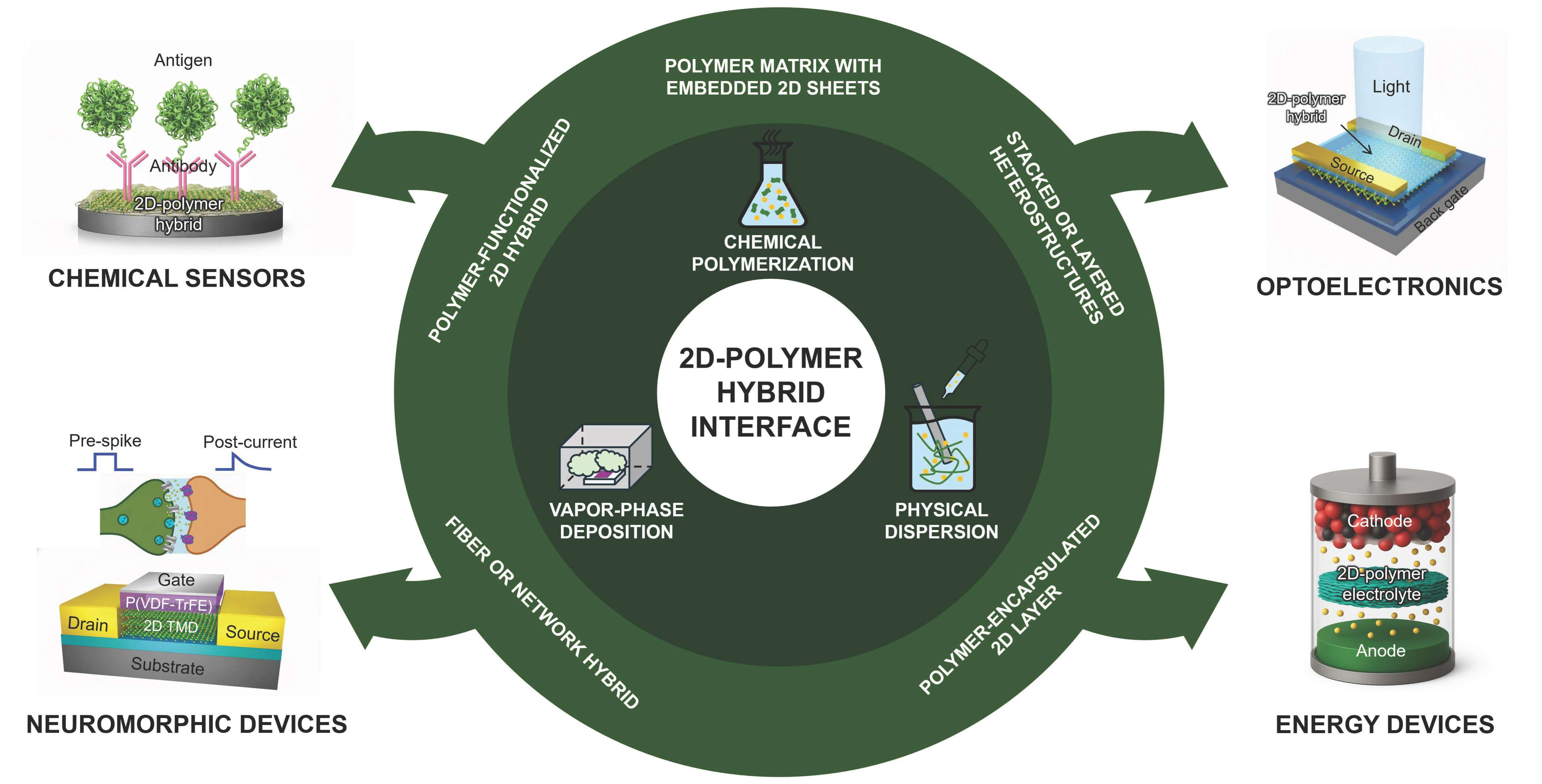 Hybrid Interfaces of 2D Materials with Polymers for Emerging ...