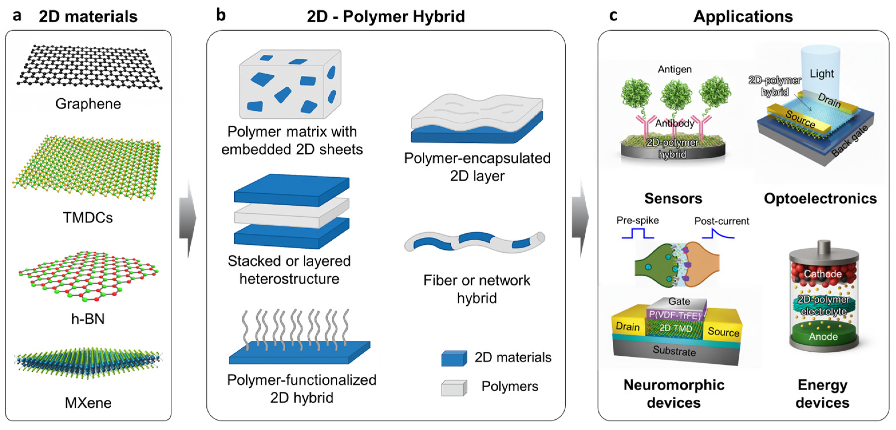 Hybrid Interfaces of 2D Materials with Polymers for Emerging ...