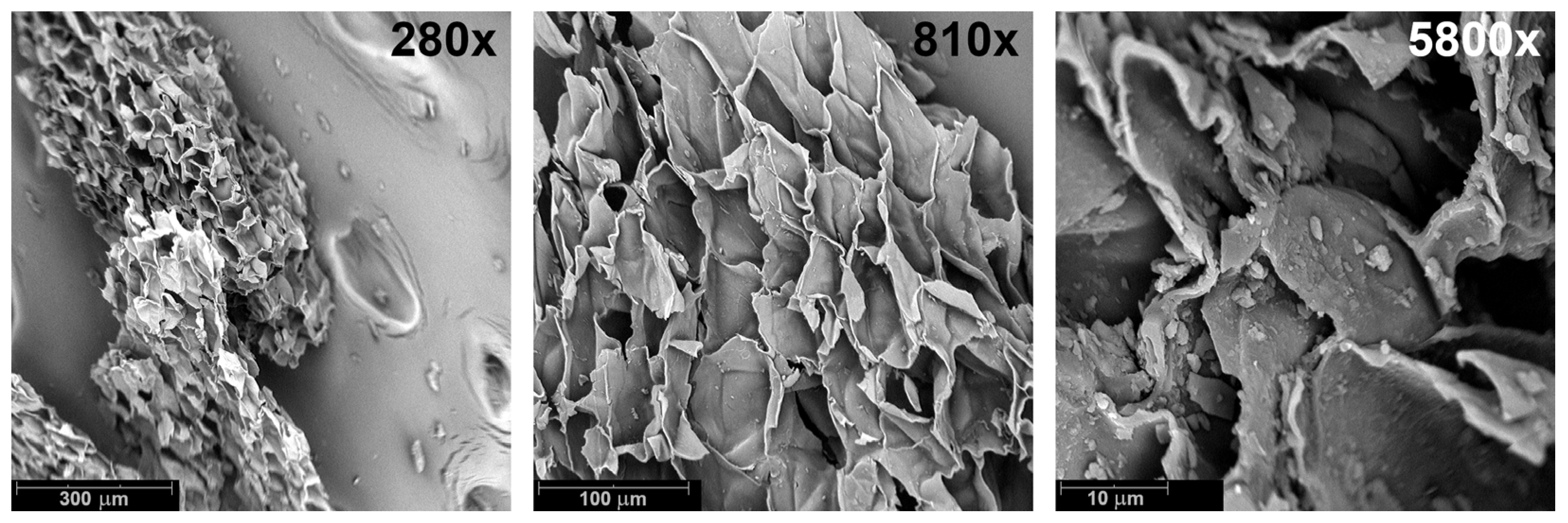 Valorization of Cork Waste in Particleboards Production with Innovative ...