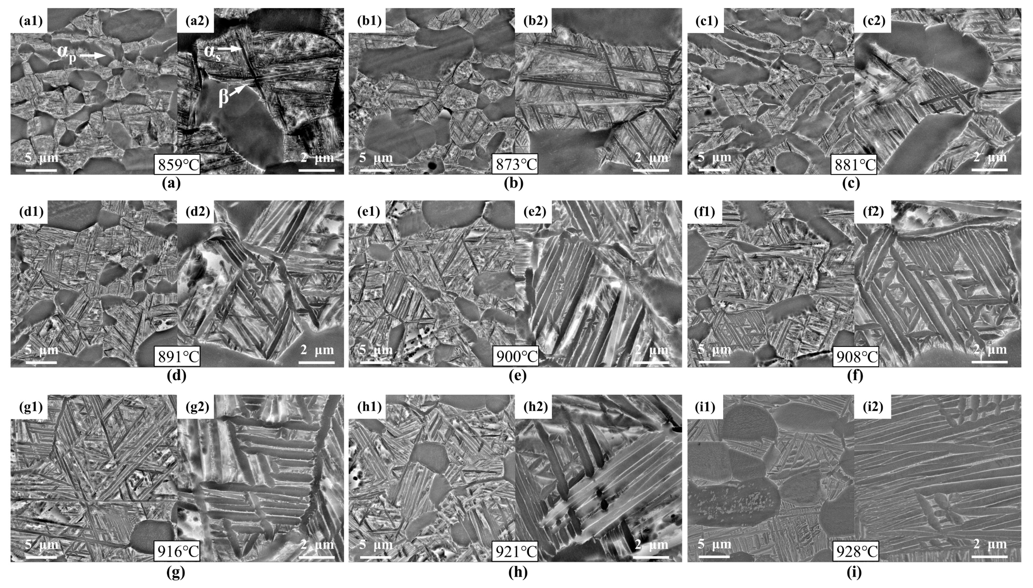 Rapid Optimization of Microstructure–Hardness Relationship in Ti-Al-V ...