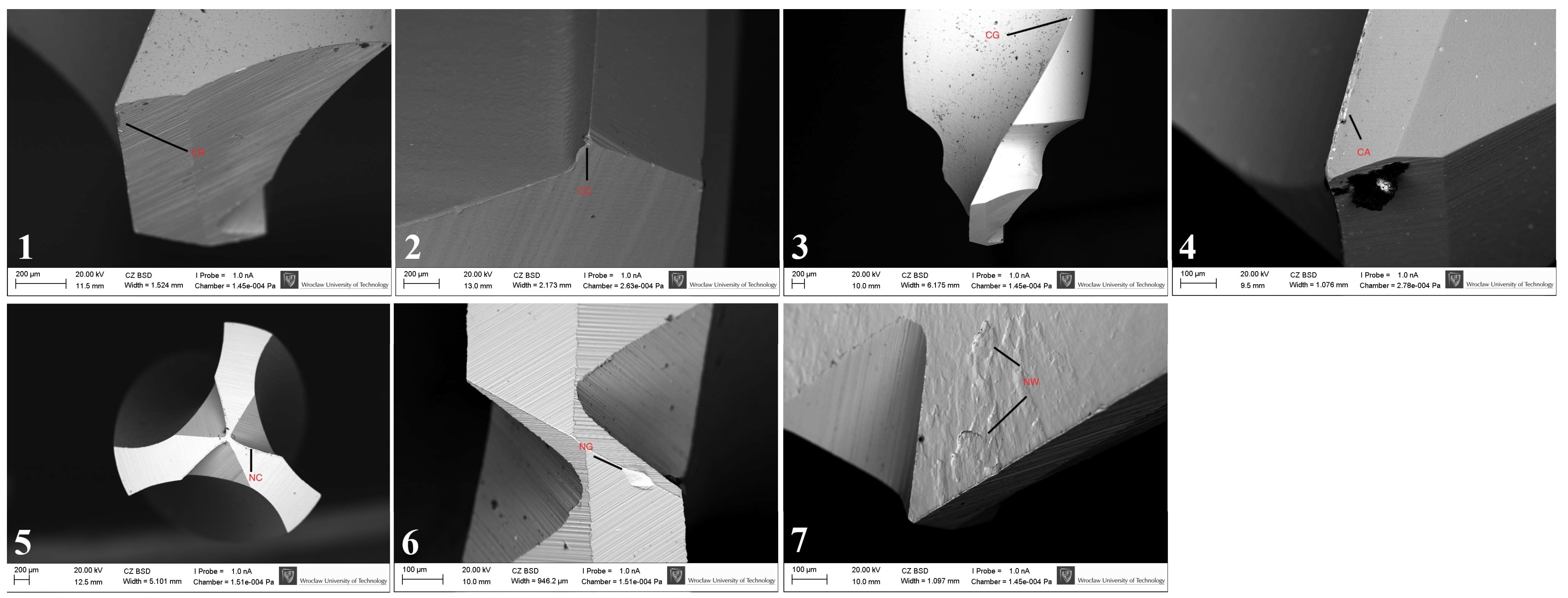 SEM Evaluation of Surface Wear on Drills from Selected Implant Systems ...