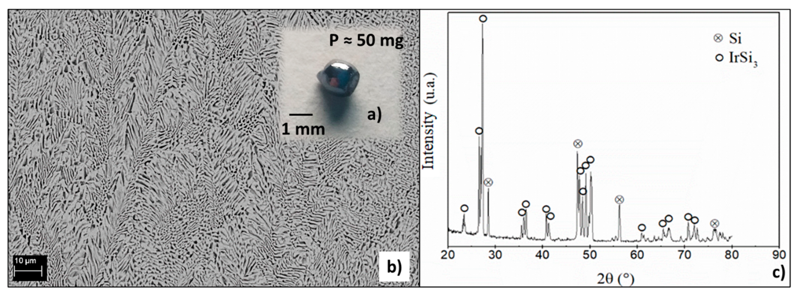 Designing SiC/IrSi3 Composites for Aggressive Environments: Wetting ...