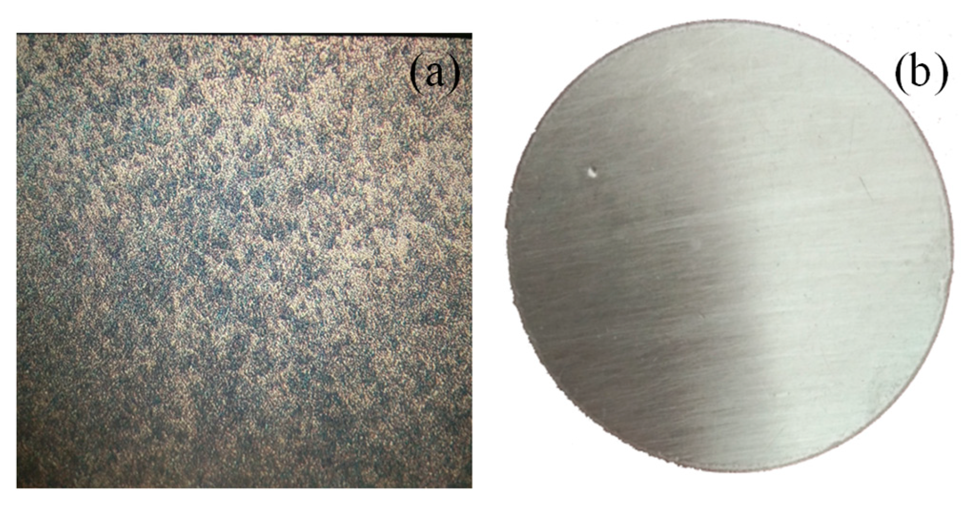 Study on Pitting Corrosion Simulation of Steel Plates Based on Cellular ...