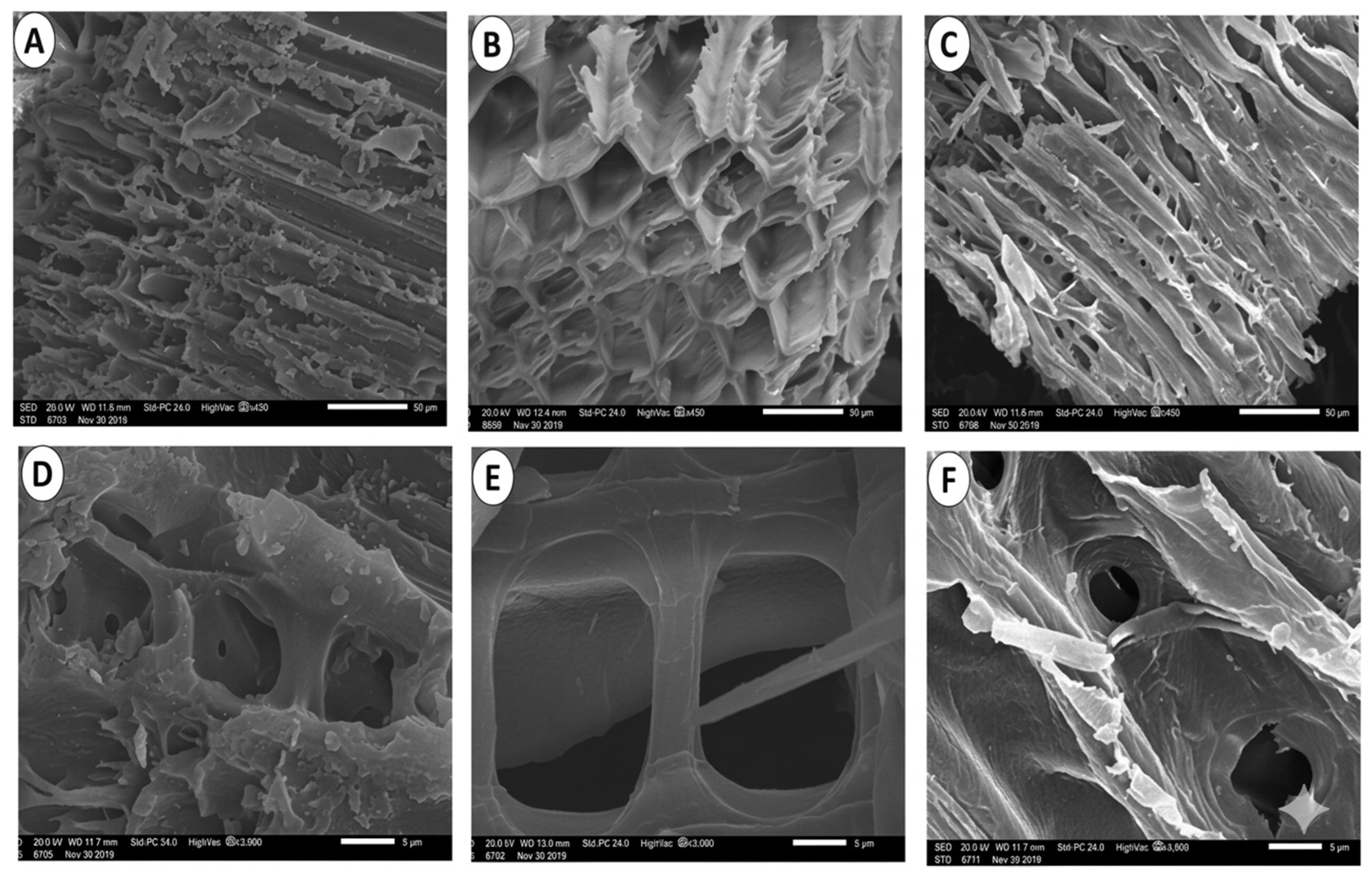 Non-Cement-Based Soil Stabilization Material: A Review of Biochar ...