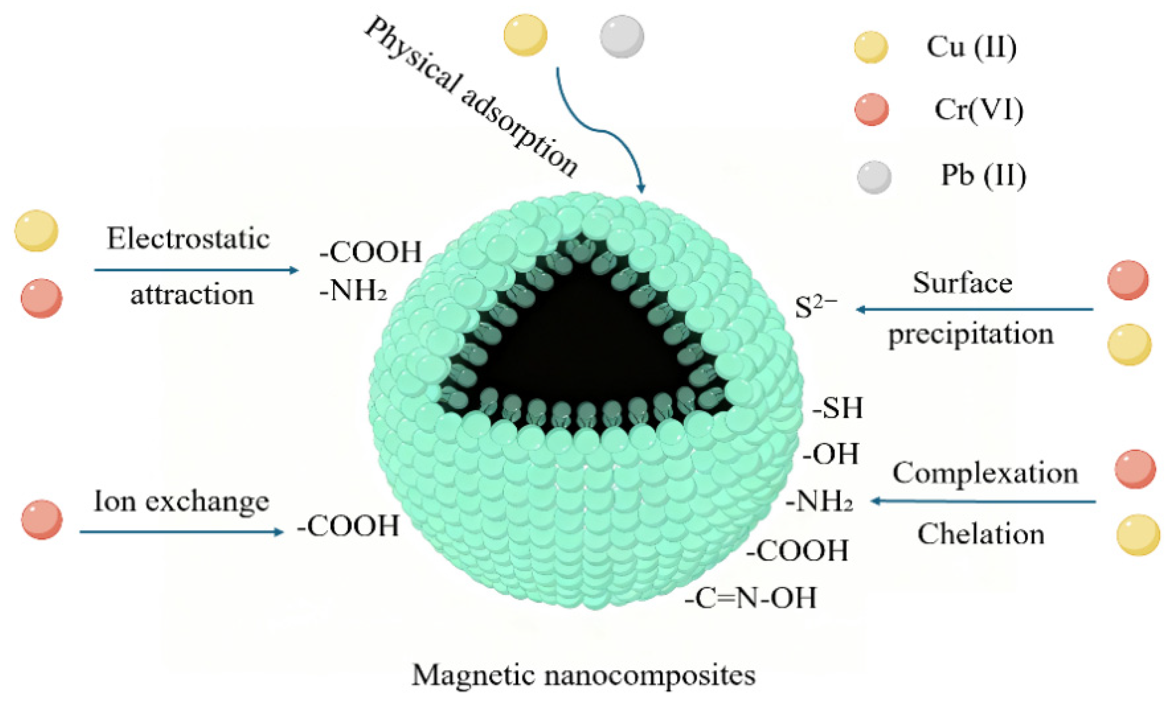 Review of Magnetic Adsorbents for Heavy Metals in Sludge Leachate ...