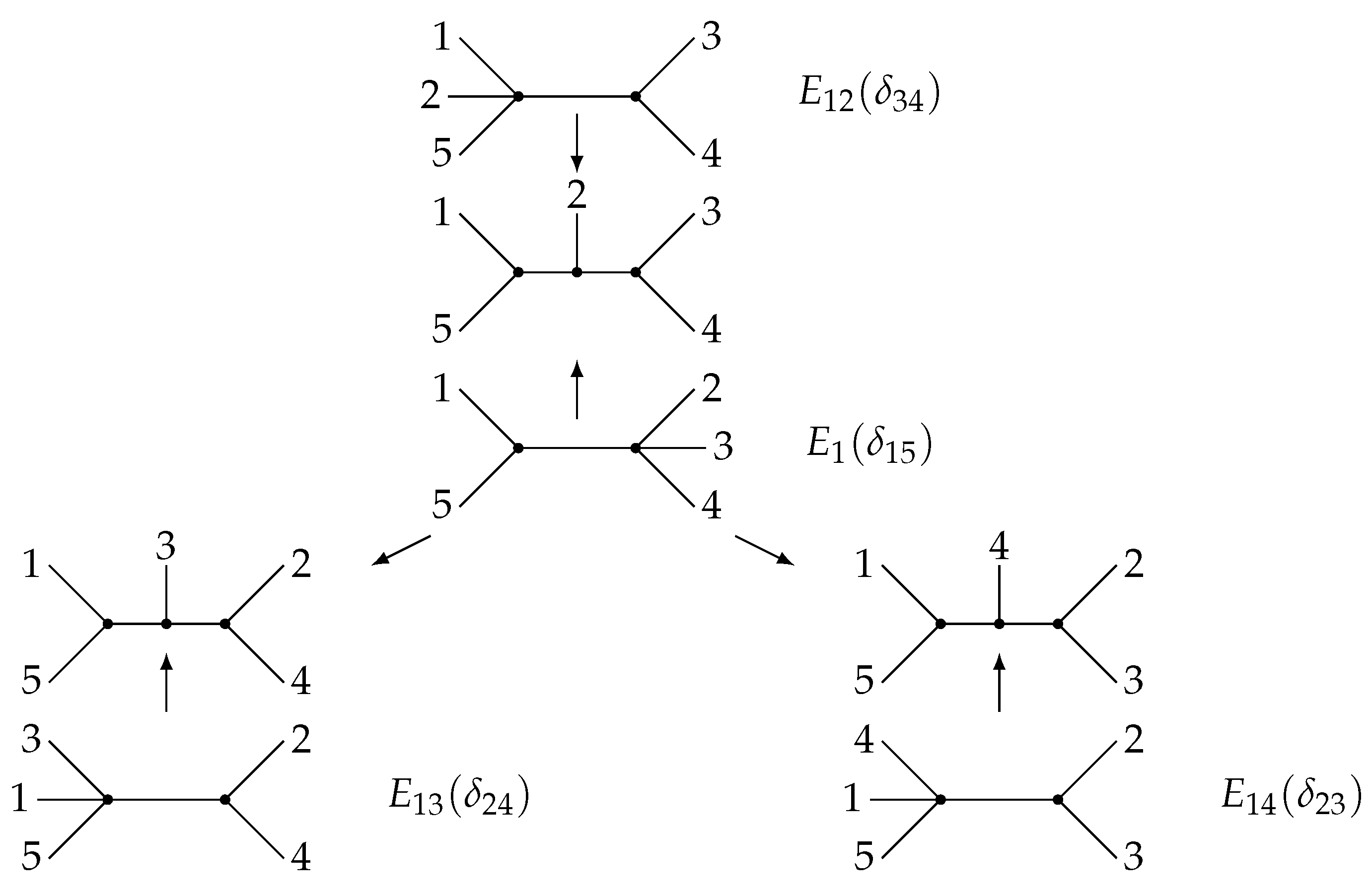 Faithful Tropicalization and Skeleton of M¯0,n