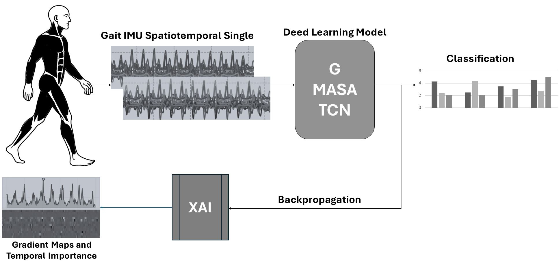 Explainable Gait Multi-Anchor Space-Aware Temporal Convolutional ...