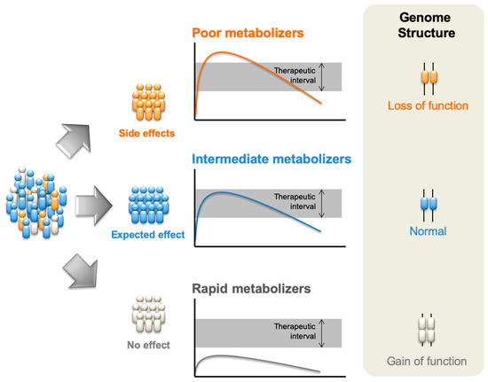 Pharmacogenomics, CYP2D6, and Tamoxifen: A Survey of the Reasons ...