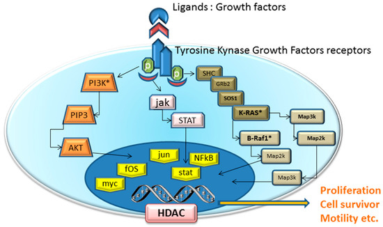 Overview of Current Targeted Anti-Cancer Drugs for Therapy in Onco ...