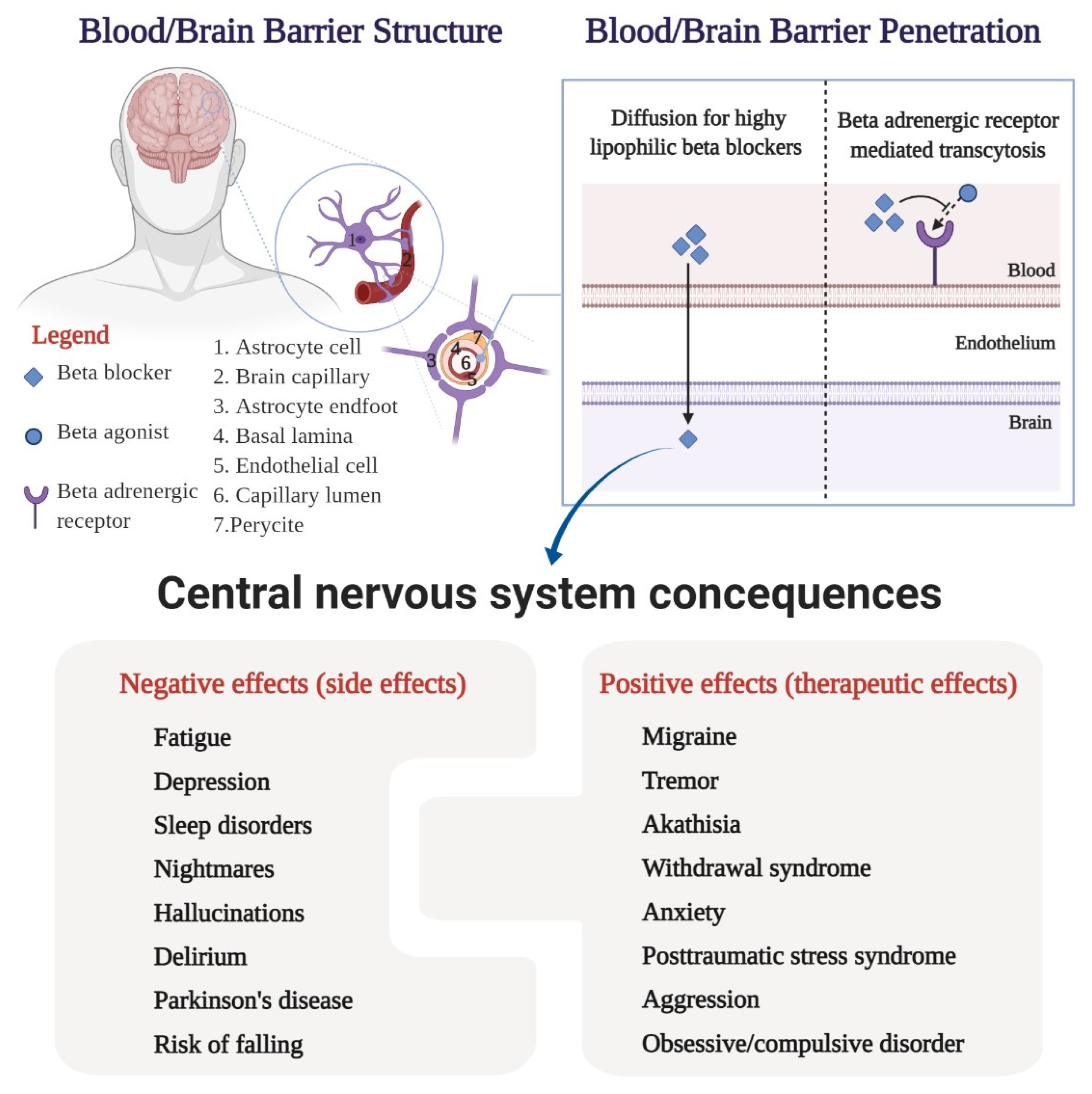 Medicina Free Full Text Neuropsychiatric Consequences Of Lipophilic Medicina Free Full Text Neuropsychiatric Consequences Of Lipophilic