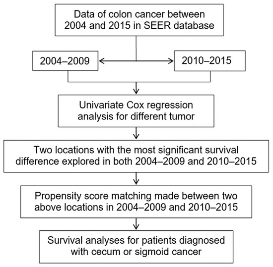 Poorer Survival in Patients with Cecum Cancer Compared with Sigmoid ...