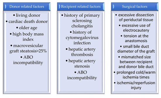 Biliary and Vascular Complications after Liver Transplantation–From ...