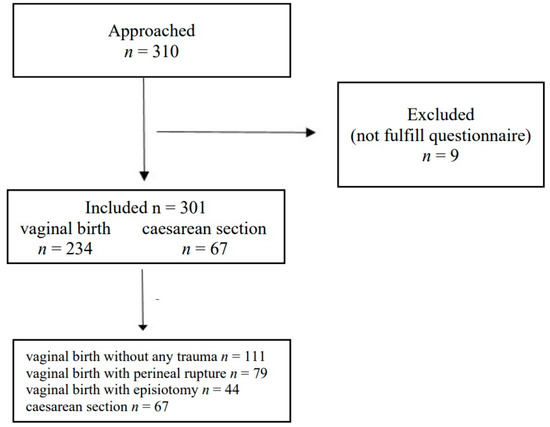 New Assessment Tool—Postpartum Functional Assessment Questionnaire