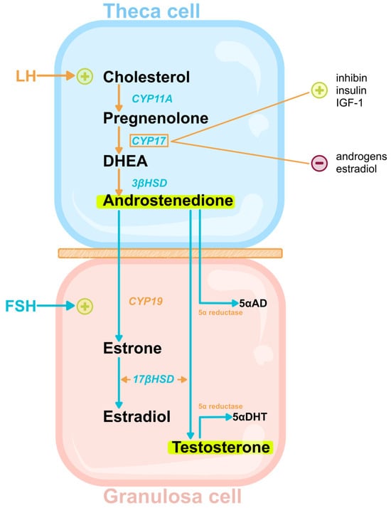The Current and Emerging Role of Statins in the Treatment of PCOS: The ...
