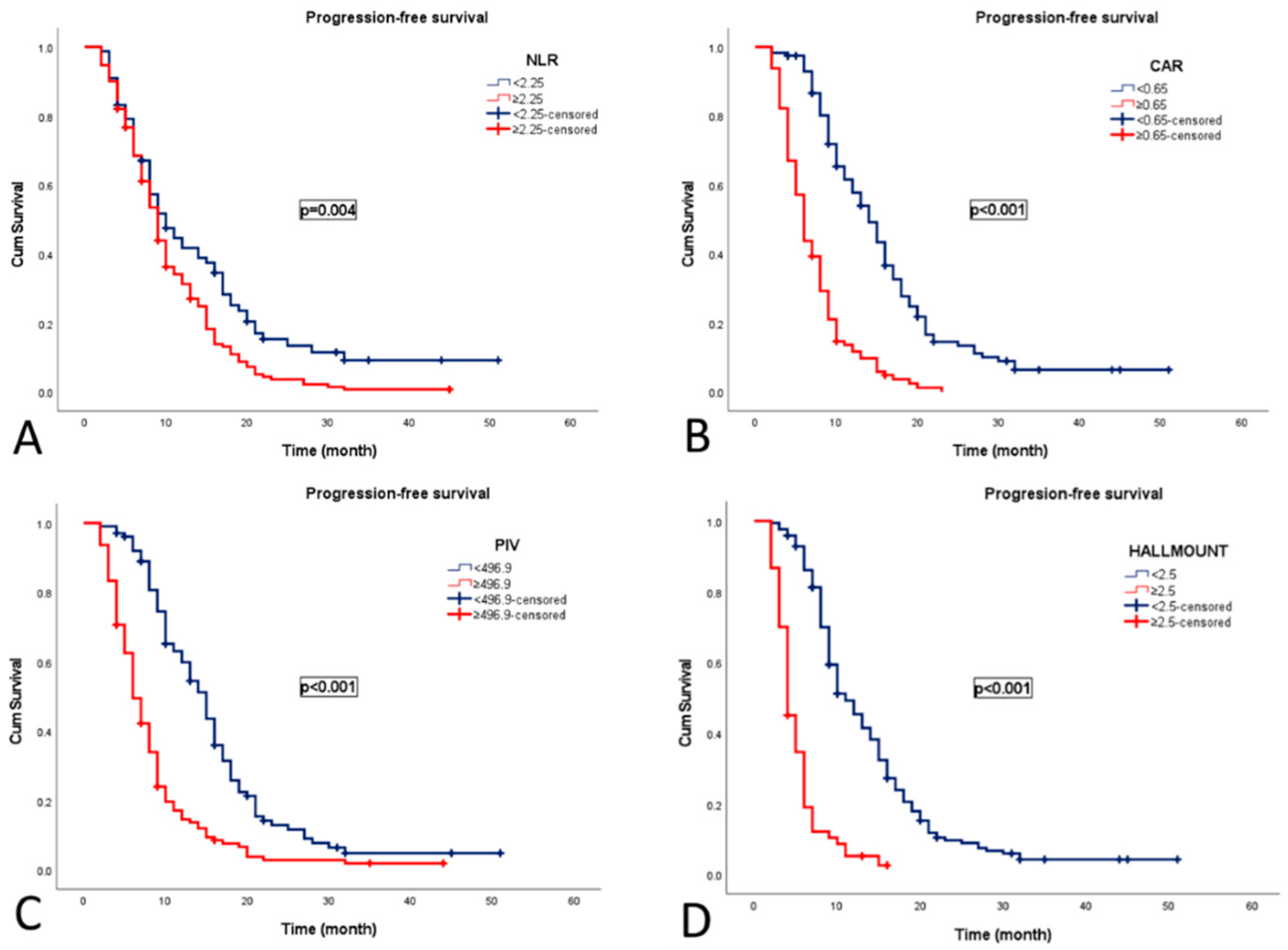 The HALLMOUNT Score: Development of a Novel Multidimensional Prognostic ...