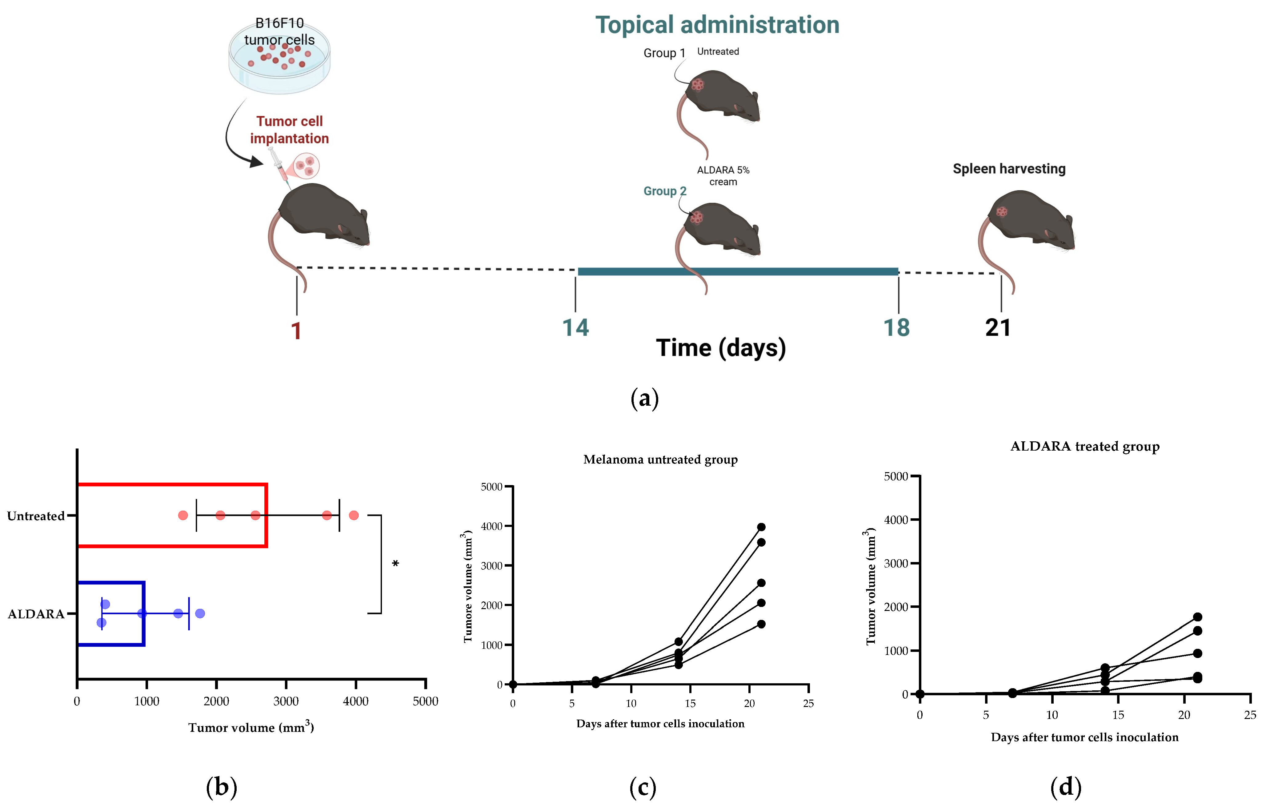 Toll-like Receptor 7/8 Agonists Exert Antitumor Effect in a Mouse ...