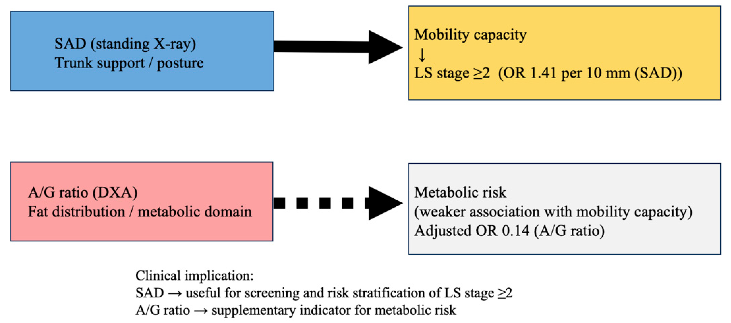 Association of Standing Sacral–Abdominal Wall Distance and Android ...