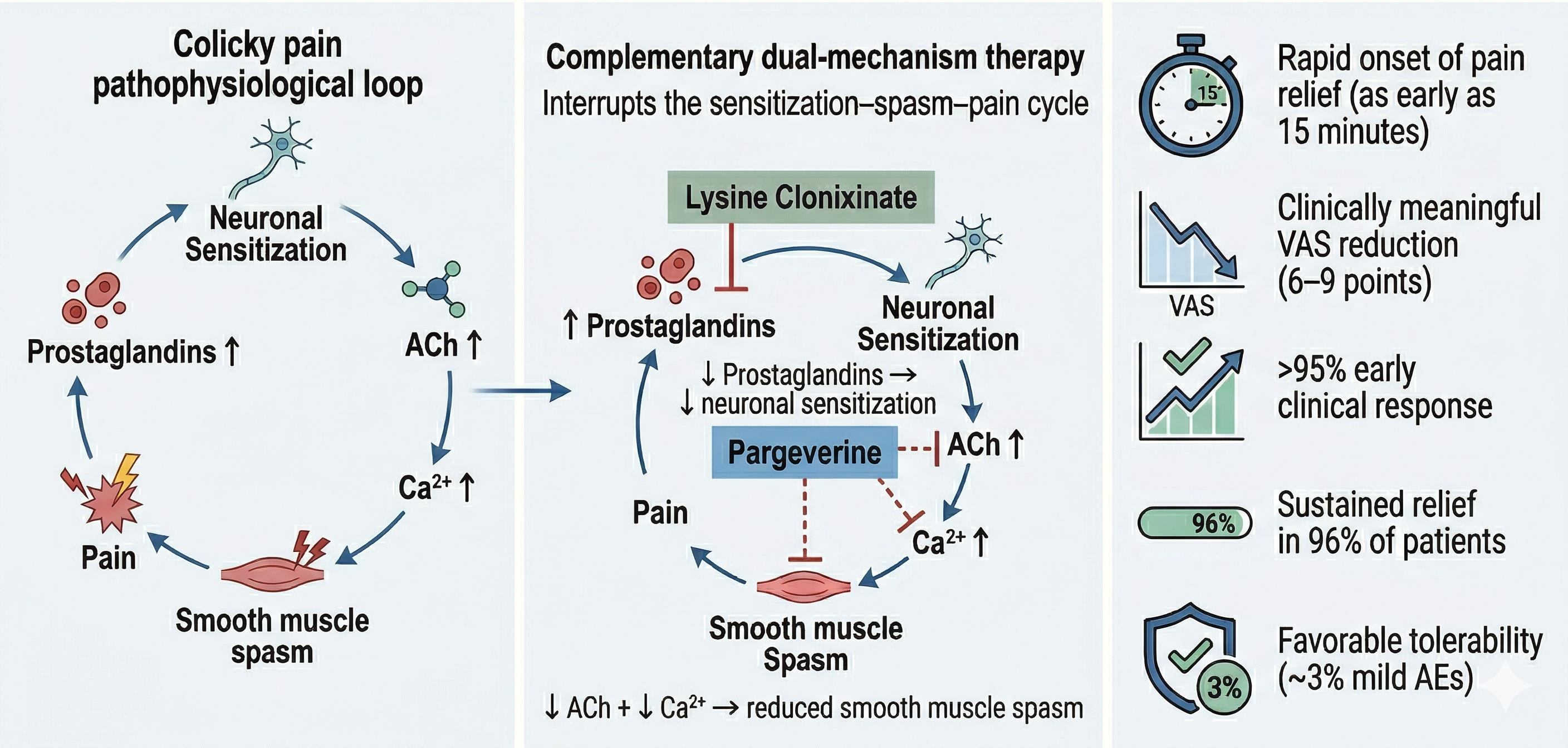 Multicenter Real-World Observational Study of Pargeverine/Lysine ...