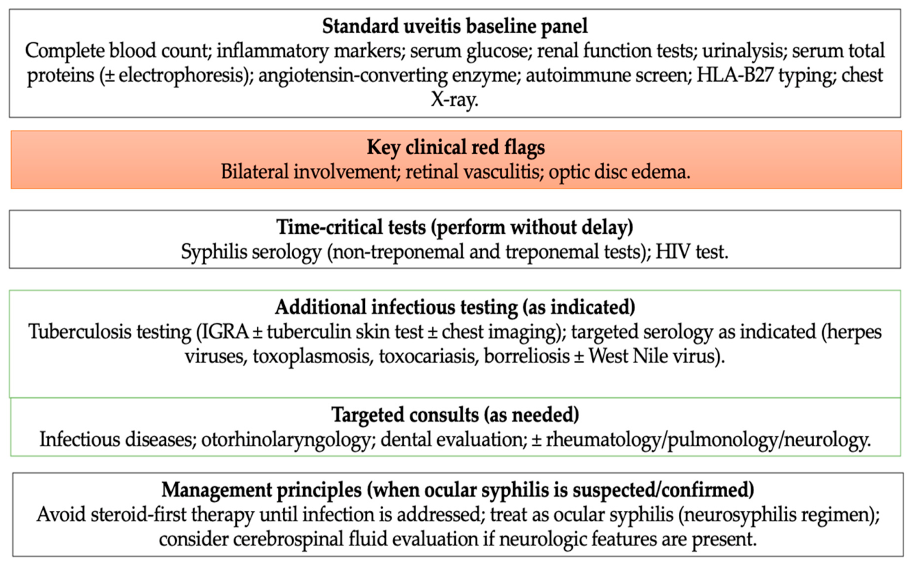 Syphilitic Panuveitis and Rhegmatogenous Retinal Detachment: Diagnostic ...