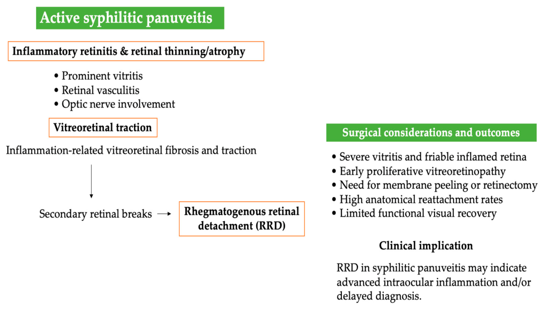 Syphilitic Panuveitis and Rhegmatogenous Retinal Detachment: Diagnostic ...
