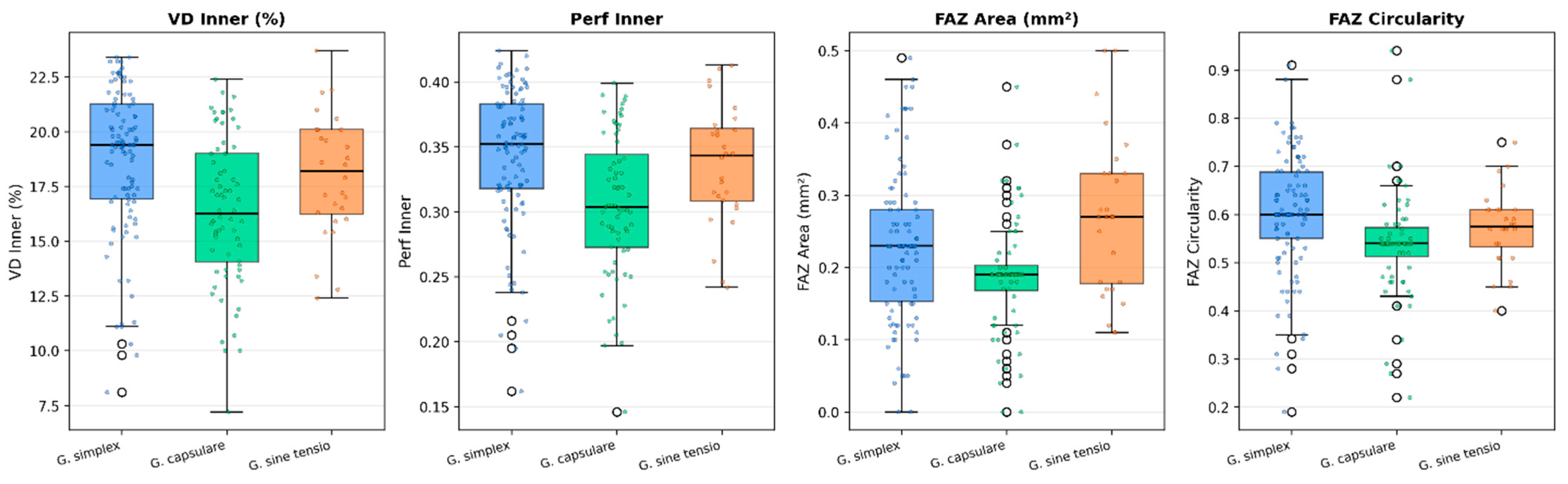 Subtype-Specific Macular Vascular Signatures in Primary Open-Angle ...