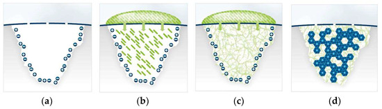 Remineralization of Initial Carious Lesions Using Peptides: A ...