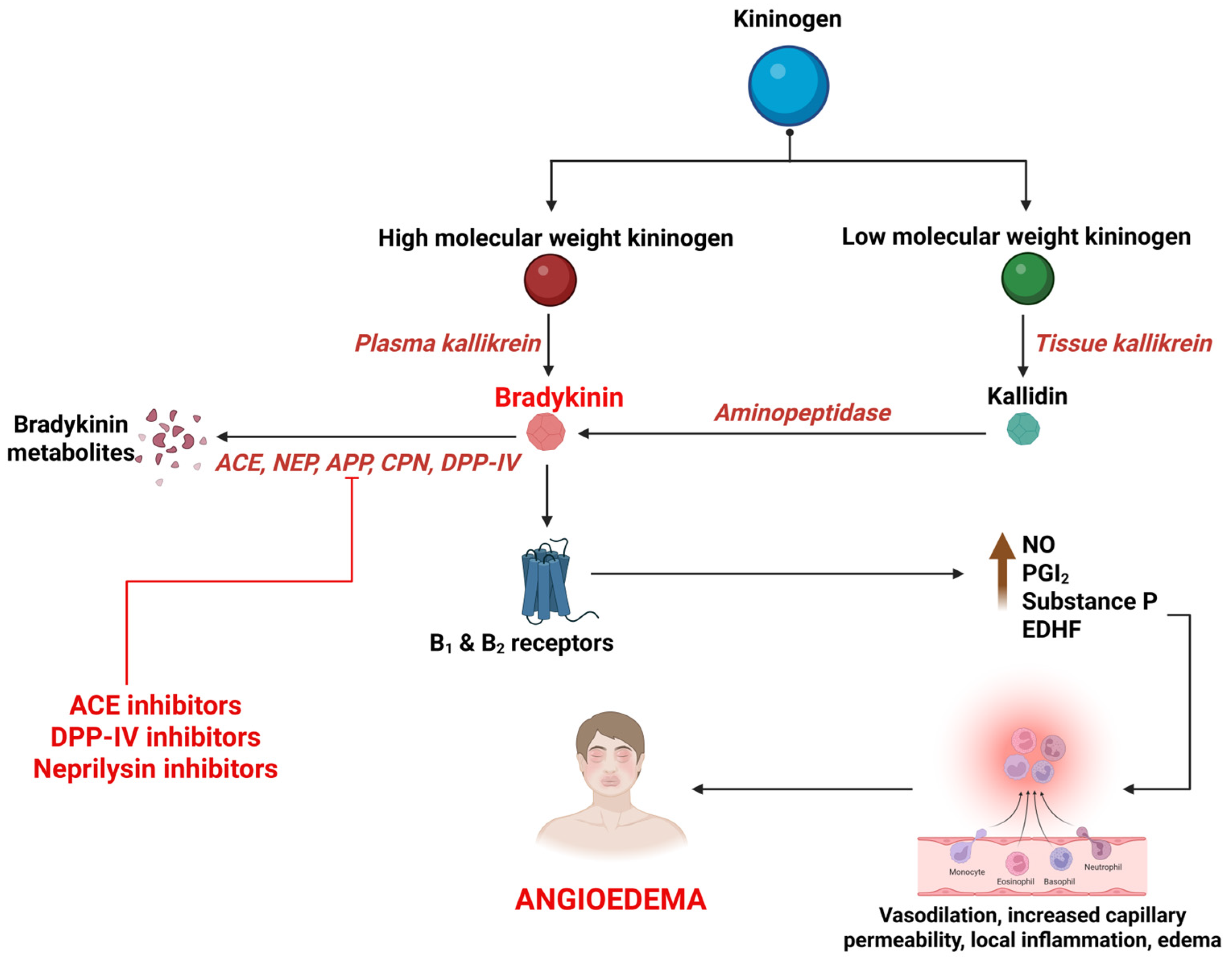 Drug-Induced Intestinal Angioedema: A Disproportionality Analysis Using ...