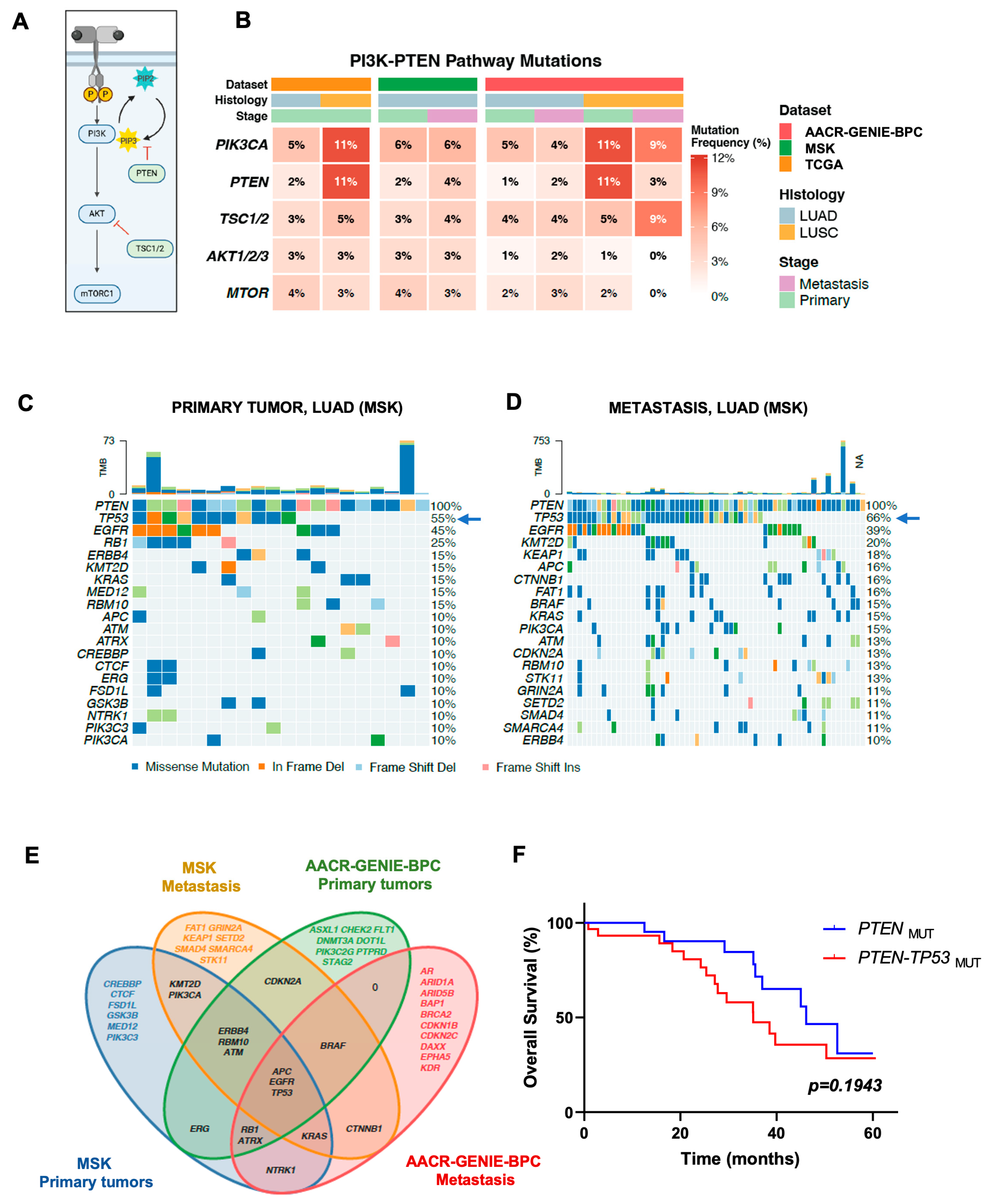 Loss of PTEN as an Independent Poor Prognosis Indicator in Lung ...