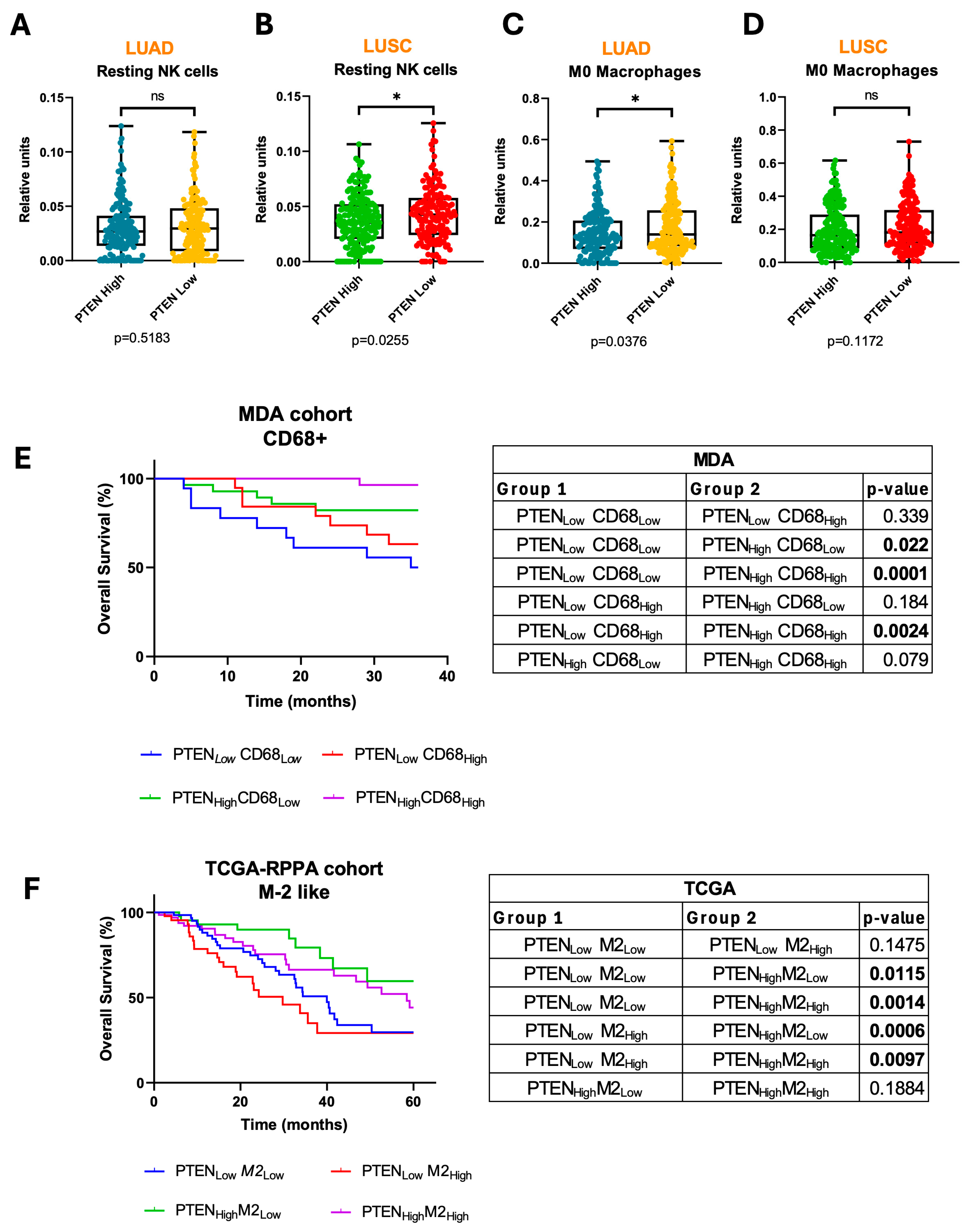 Loss of PTEN as an Independent Poor Prognosis Indicator in Lung ...