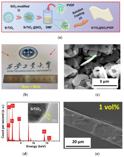 Membranes | Special Issue : Application of Ferroelectric-Polymer Composites