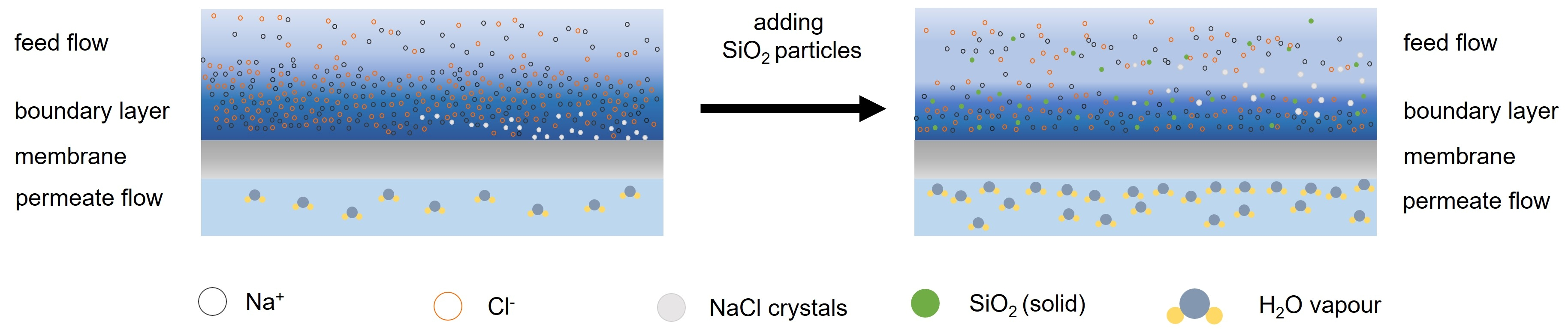 Mitigating Wetting and Scaling in Air Gap Membrane Distillation ...