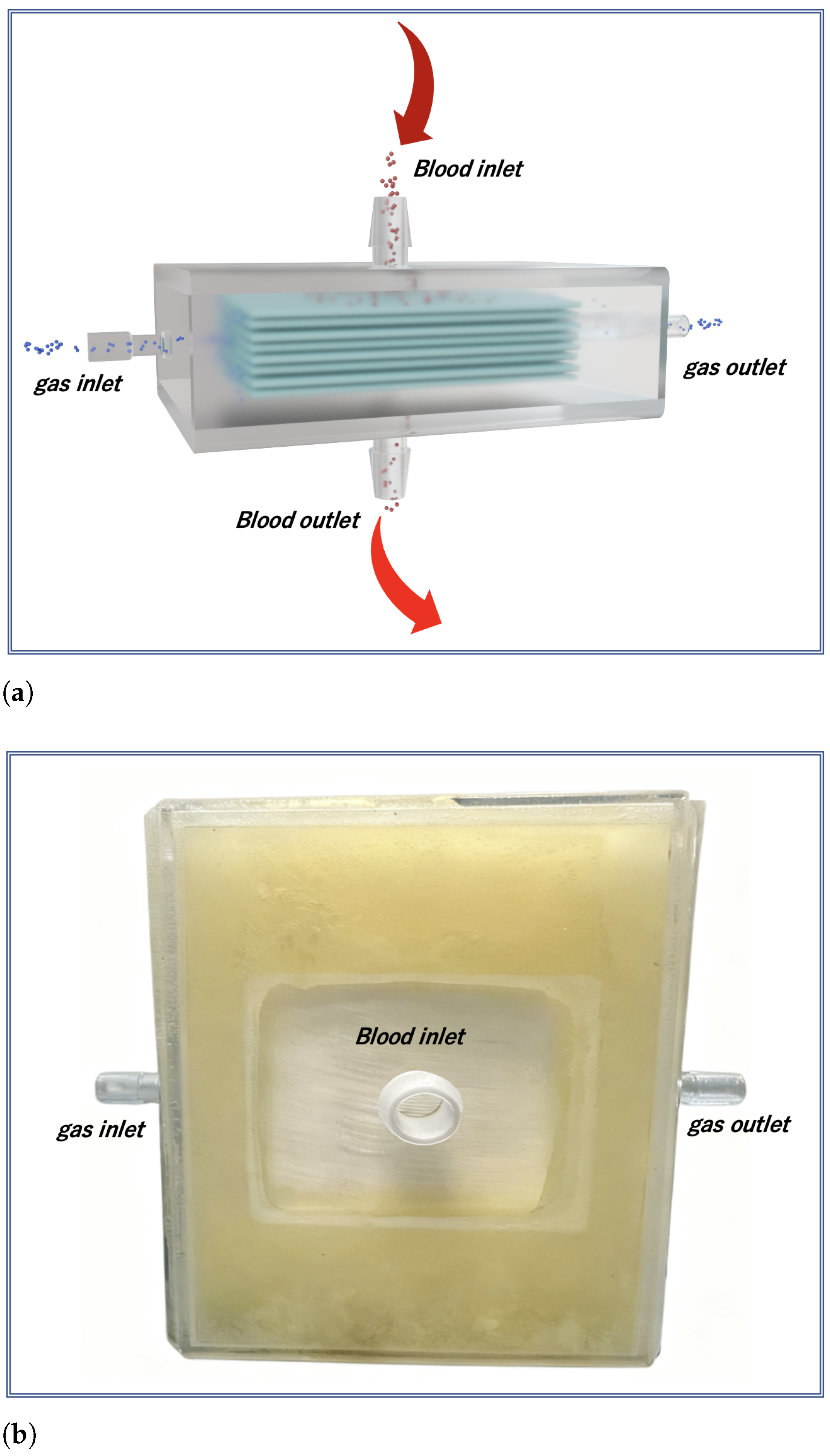 A Deep Reinforcement Learning-Optimized Blood Flow Profile for Enhanced ...
