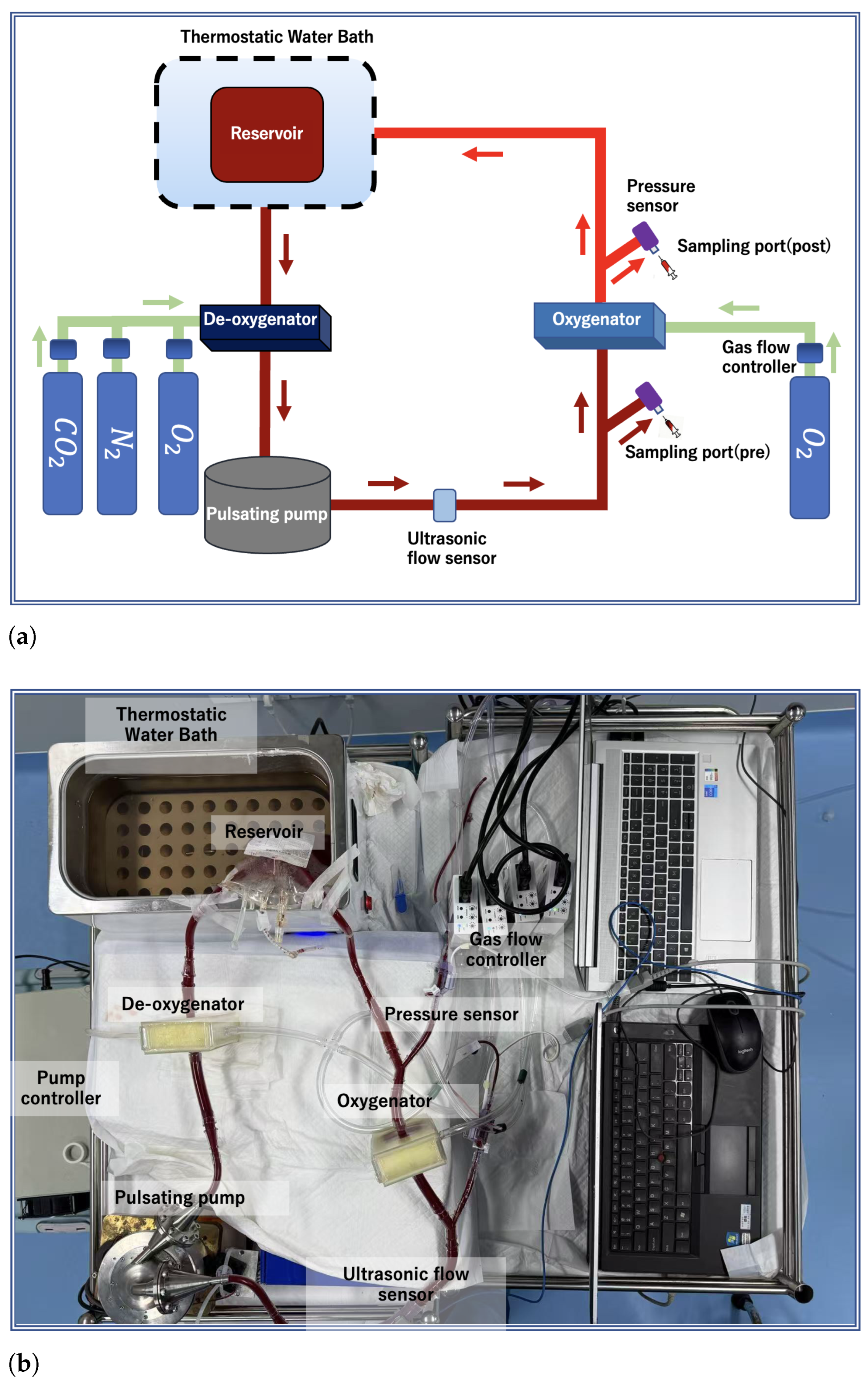 A Deep Reinforcement Learning-Optimized Blood Flow Profile for Enhanced ...