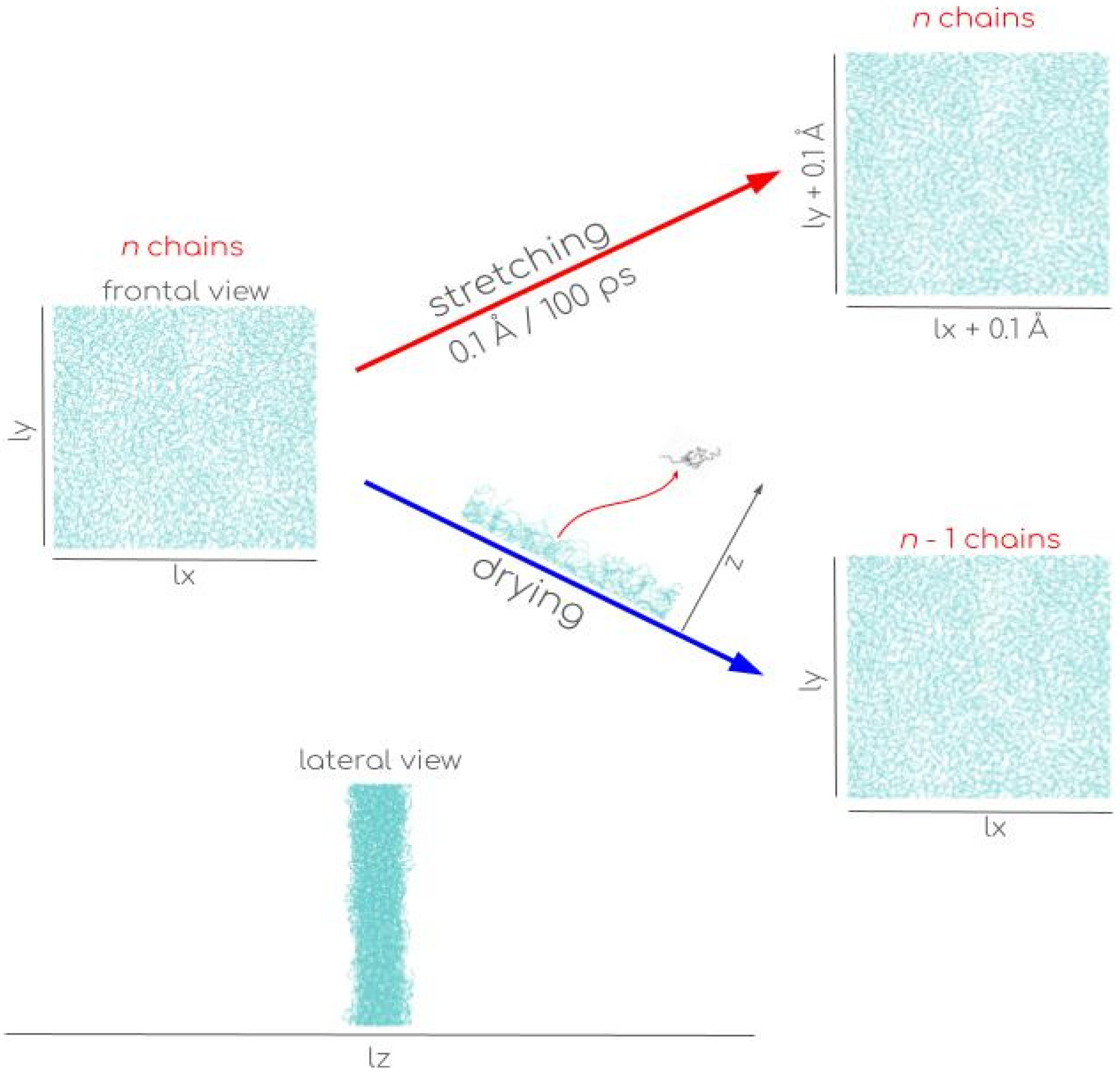 Beyond Visual Observations: Establishing the Mechanical Stability ...