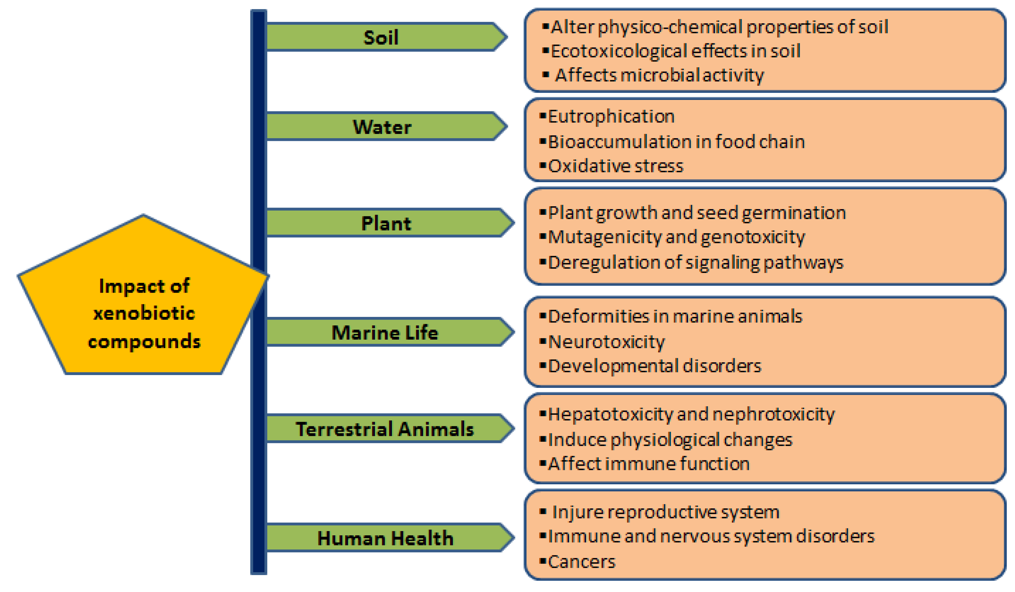 Carcinogenic Definition Environmental Science Carcinogenic Definition Environmental Science