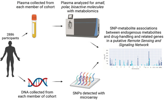 Regulation of Human Endogenous Metabolites by Drug Transporters and ...