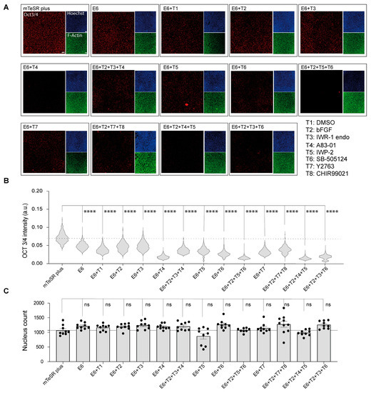 Metabolites | Free Full-Text | Early Differentiation Signatures in ...