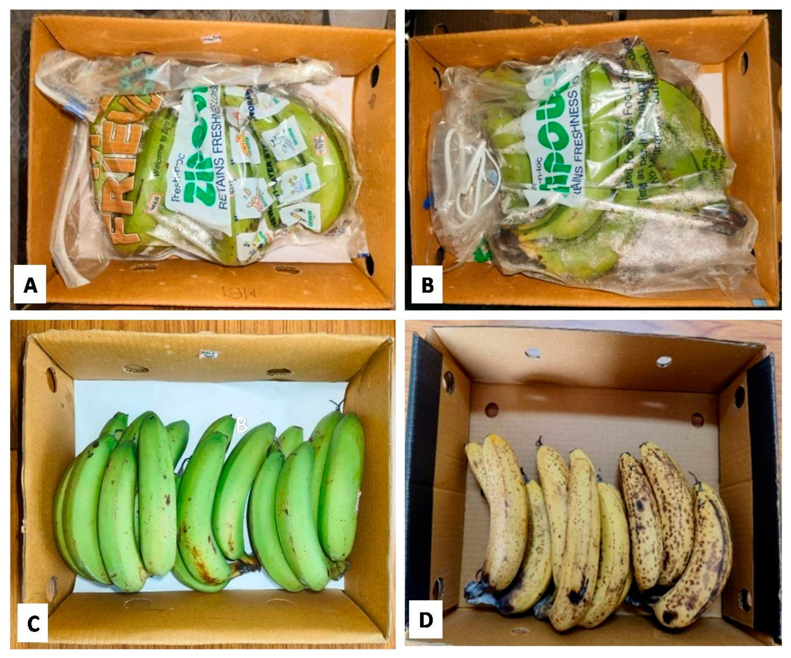Harnessing the Potential of a Secondary Metabolite-Based Formulation ...