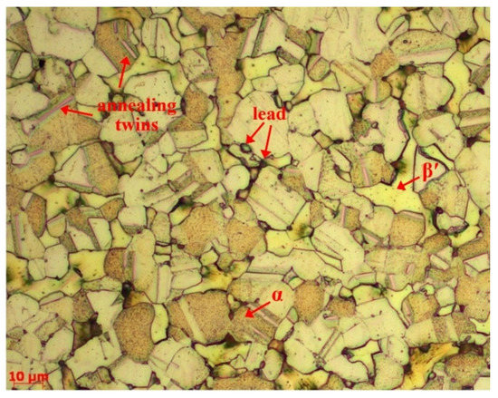 Microstructure and Texture Development in Thermomechanically Processed ...