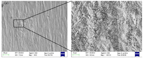 Quantitative Understanding of the Environmental Effect on B10 Copper ...
