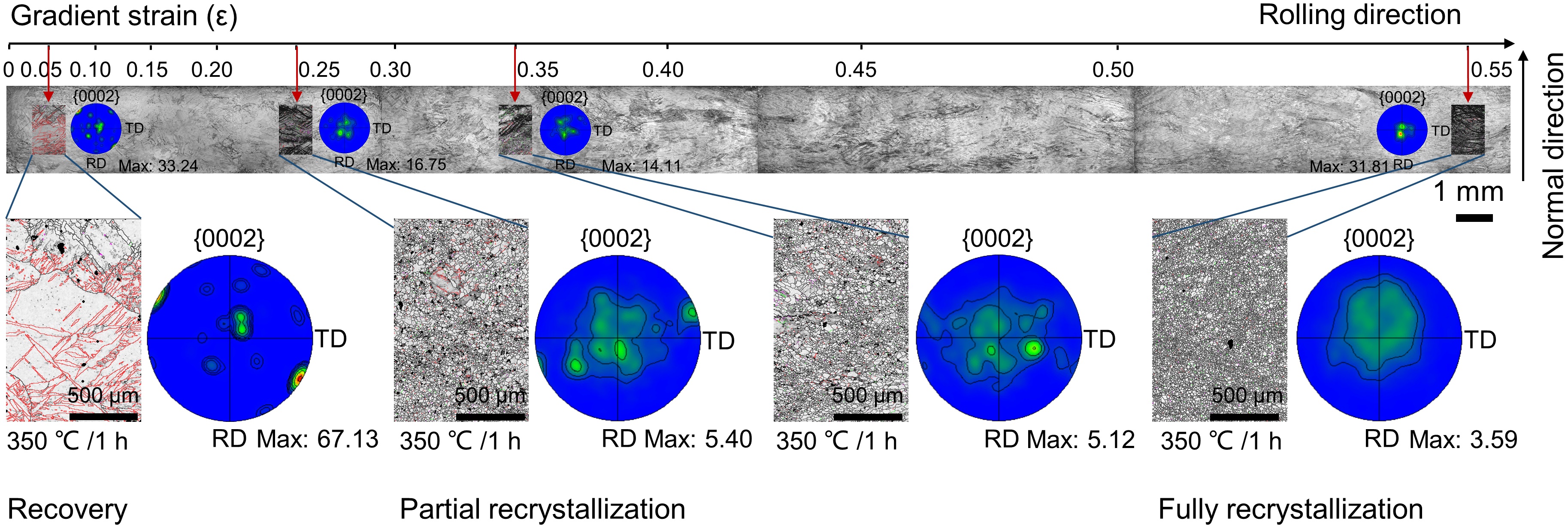 Metals Free Full Text Microstructure And Texture Evolution Of Hot