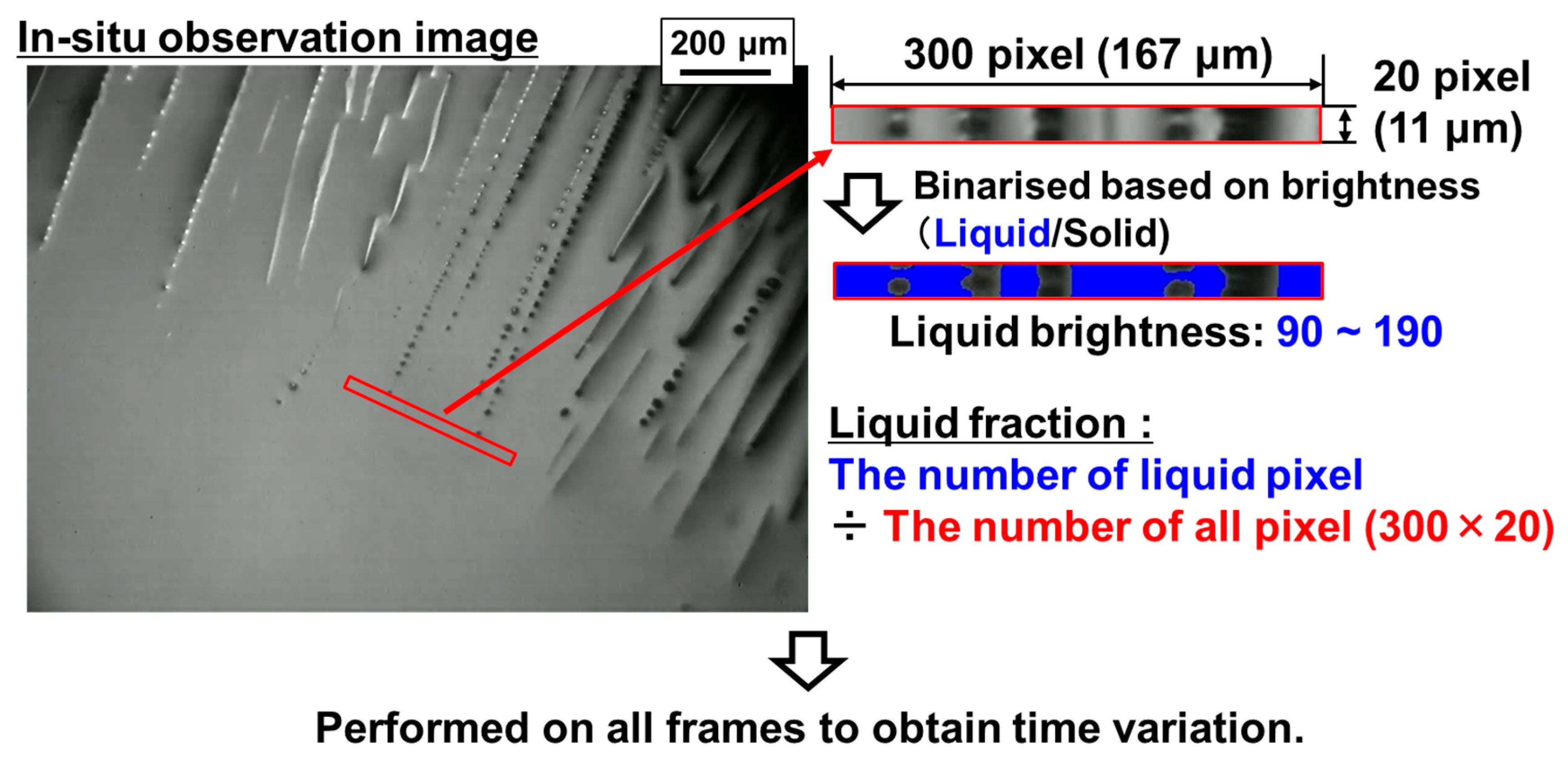 High-Magnification In Situ Observation of Welding Solidification